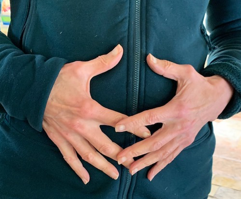 The Cancer Chronicles – Updated Twice Weekly